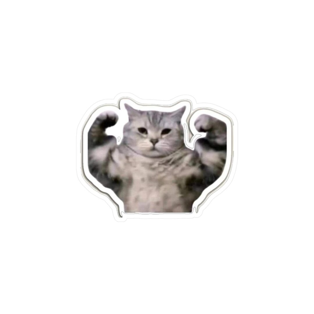 Flexing Cat Sticker | Vinyl Decal - Etsy