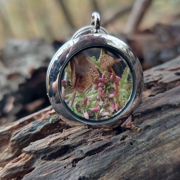 Enchanted Locket - Etsy