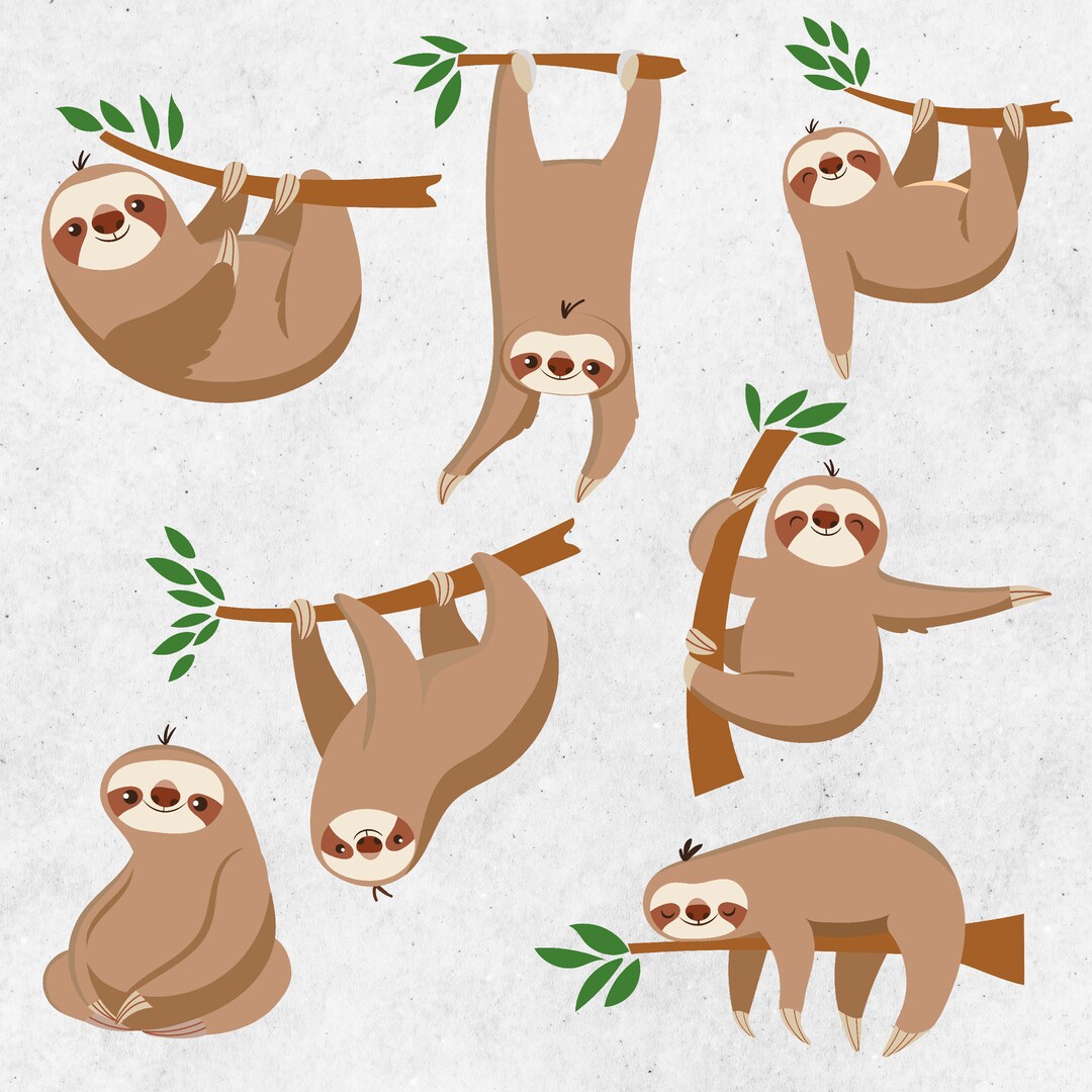 Sloth SVG Sloth Bundle SVG Hanging Sloth SVG Sleeping Sloth Clipart ...