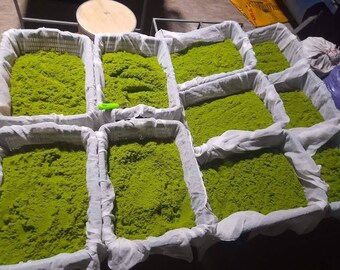 200g Wolffia Globosa Powder, High-protein Superfood , Green Caviar ...