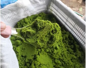 200g Wolffia Globosa Powder, High-protein Superfood , Green Caviar ...