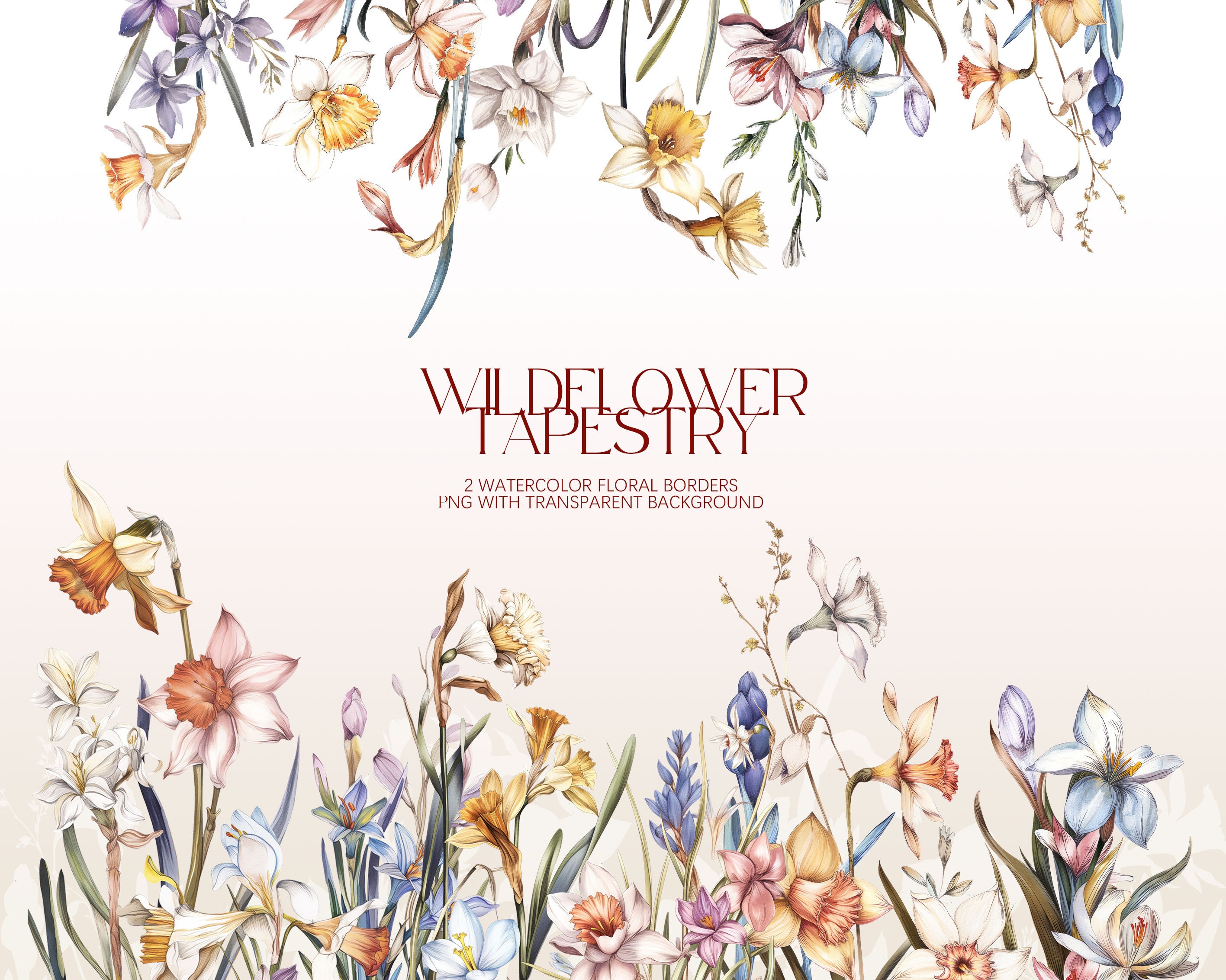Watercolor Floral Clipart-wildflowers Borders-wild Meadow-wildflower ...