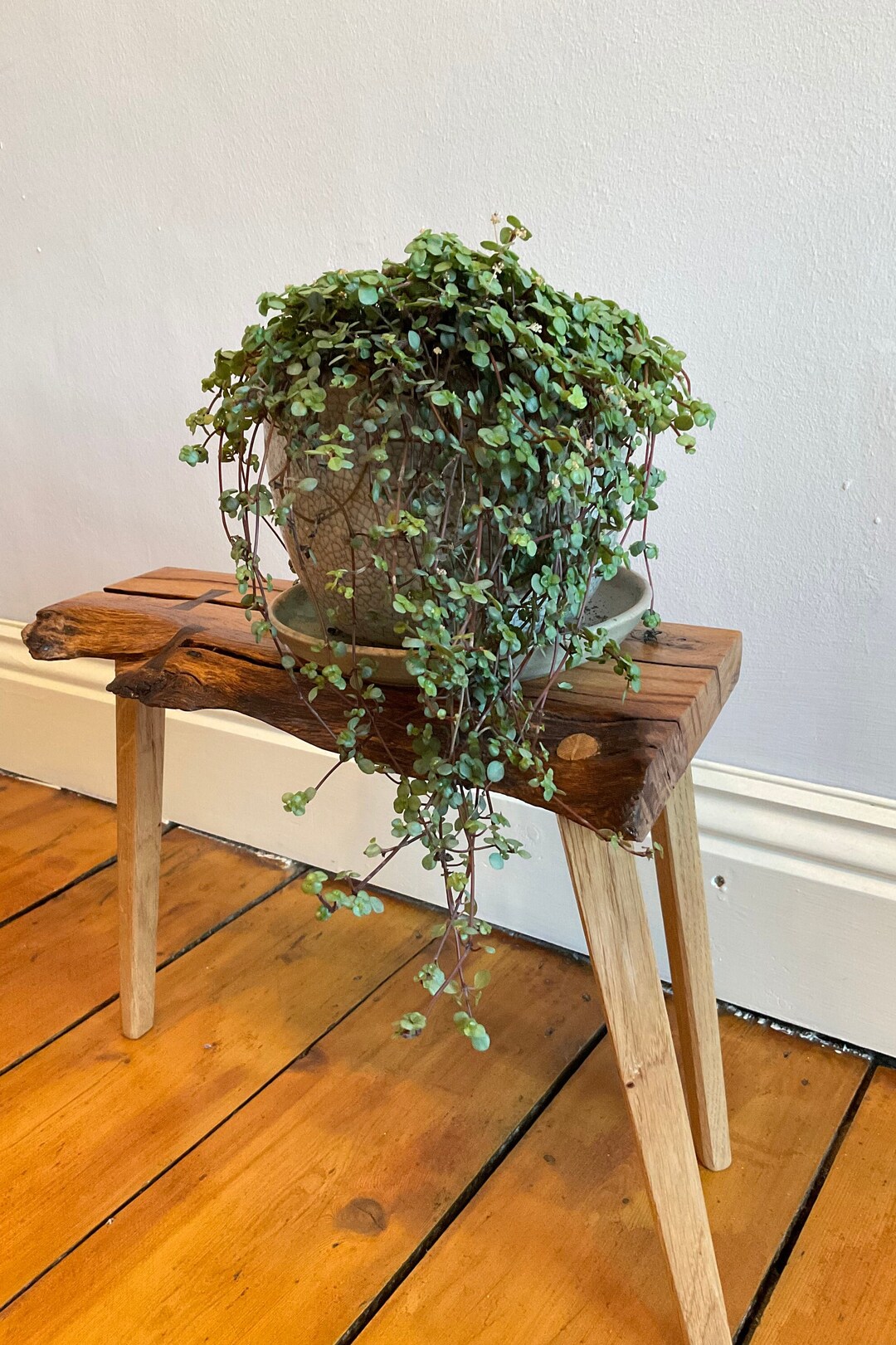 Wooden Apple Tree Stool for Plants - Etsy