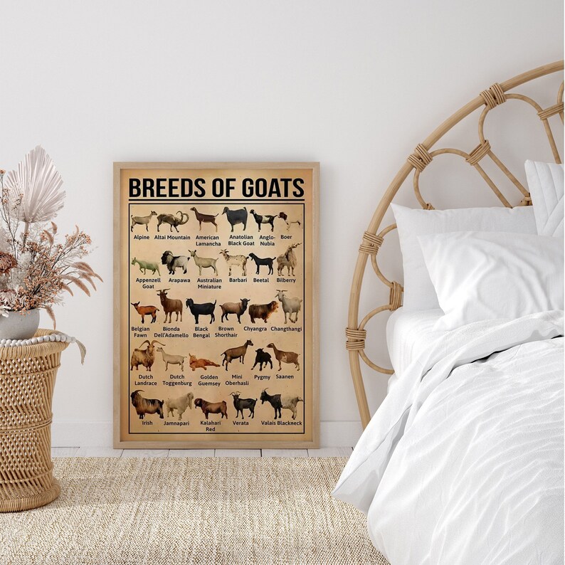 Breeds of Goat Poster, Animal Farm Knowledge, Goat Farm Art Print ...