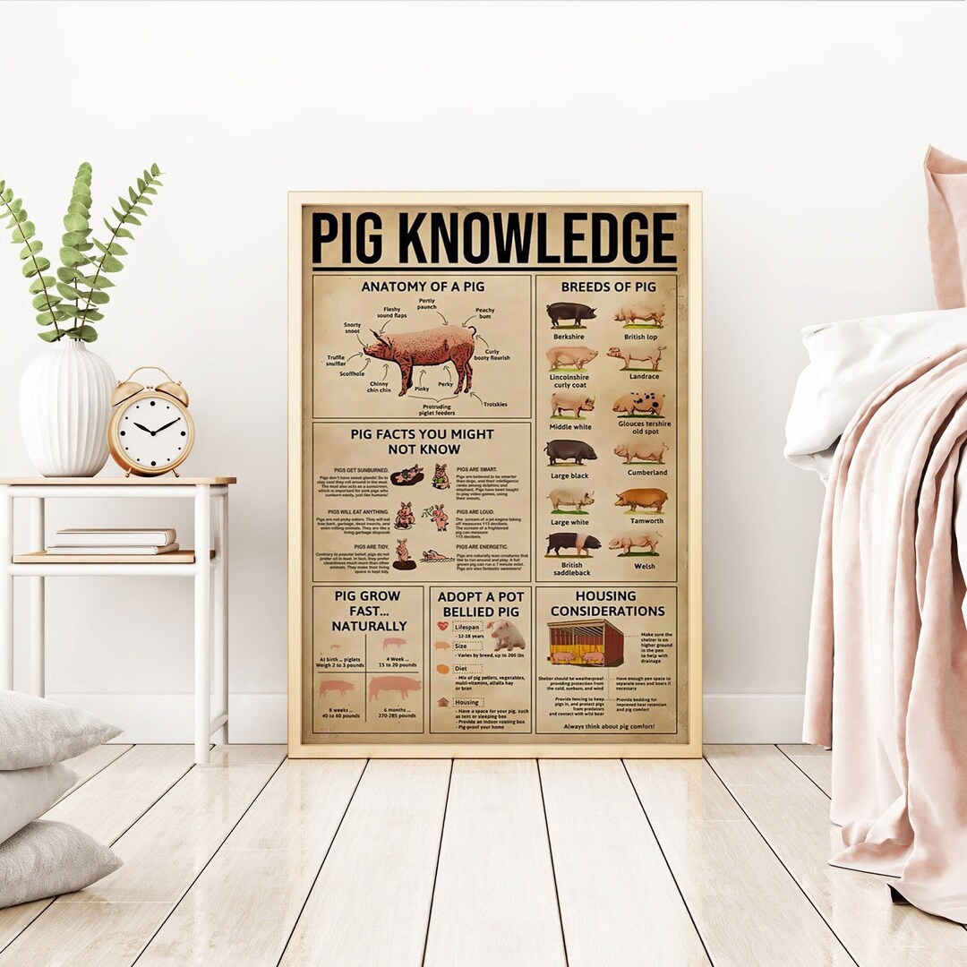 Pig Knowledge Poster, Breeds of Pig Print, Vintage Pig Farm Art Print ...