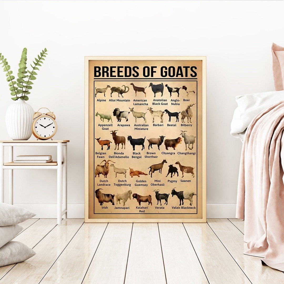 Breeds of Goat Poster, Animal Farm Knowledge, Goat Farm Art Print ...
