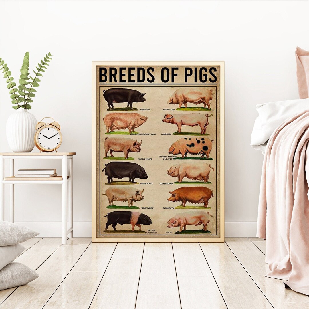 Breeds of Pig Print, Pig Knowledge Poster, Vintage Pig Farm Art Print ...