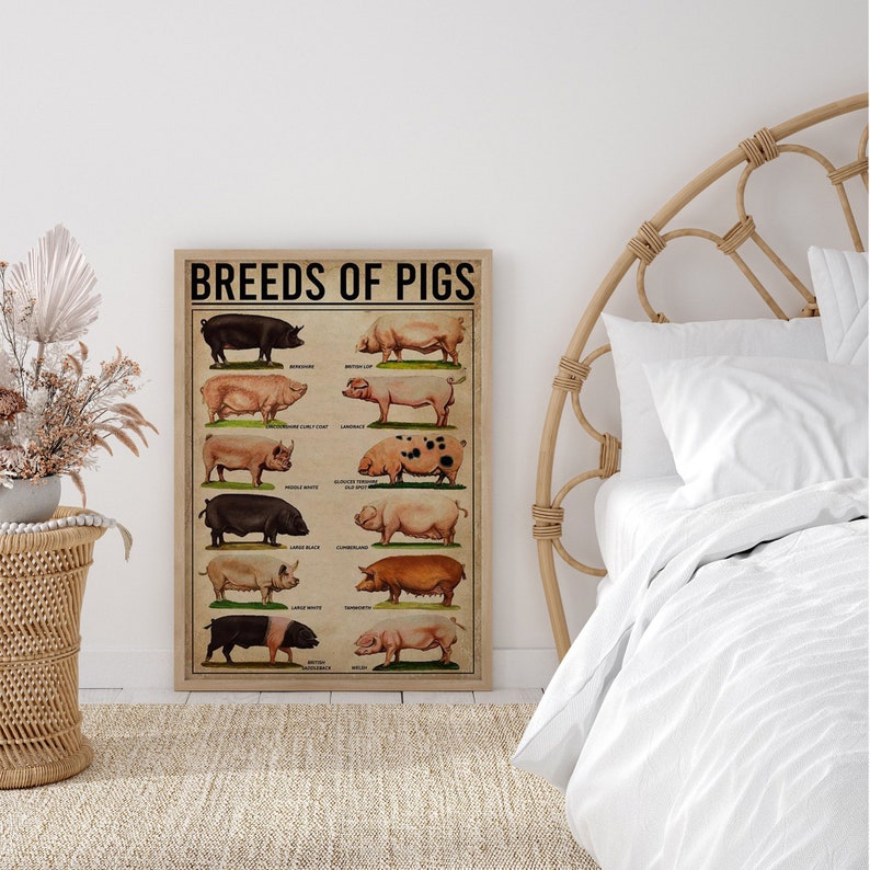 Breeds of Pig Print, Pig Knowledge Poster, Vintage Pig Farm Art Print ...
