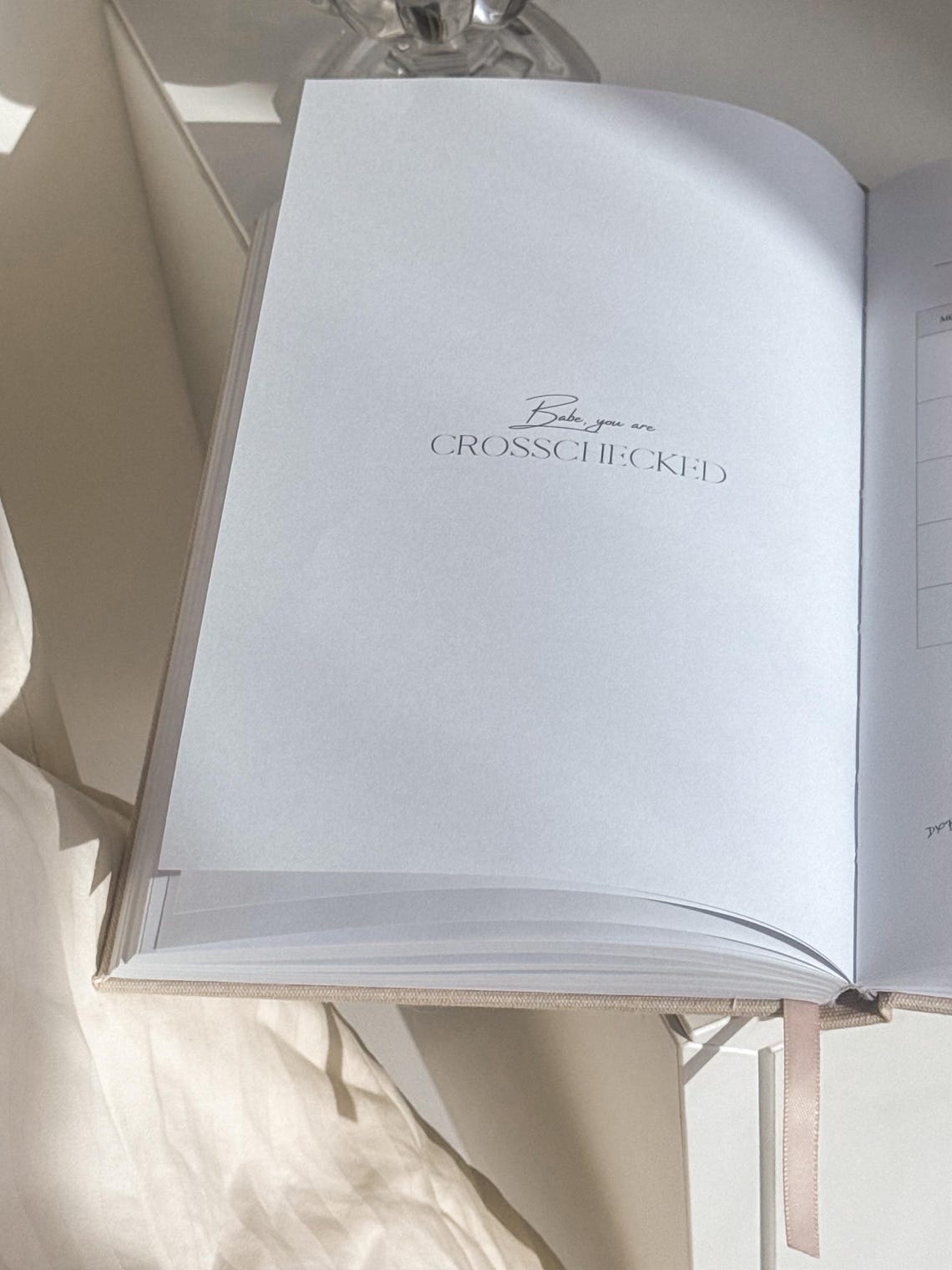 The Ultimate Cabin Crew Journal | Flight Attendant Undated Planner 2025 ...