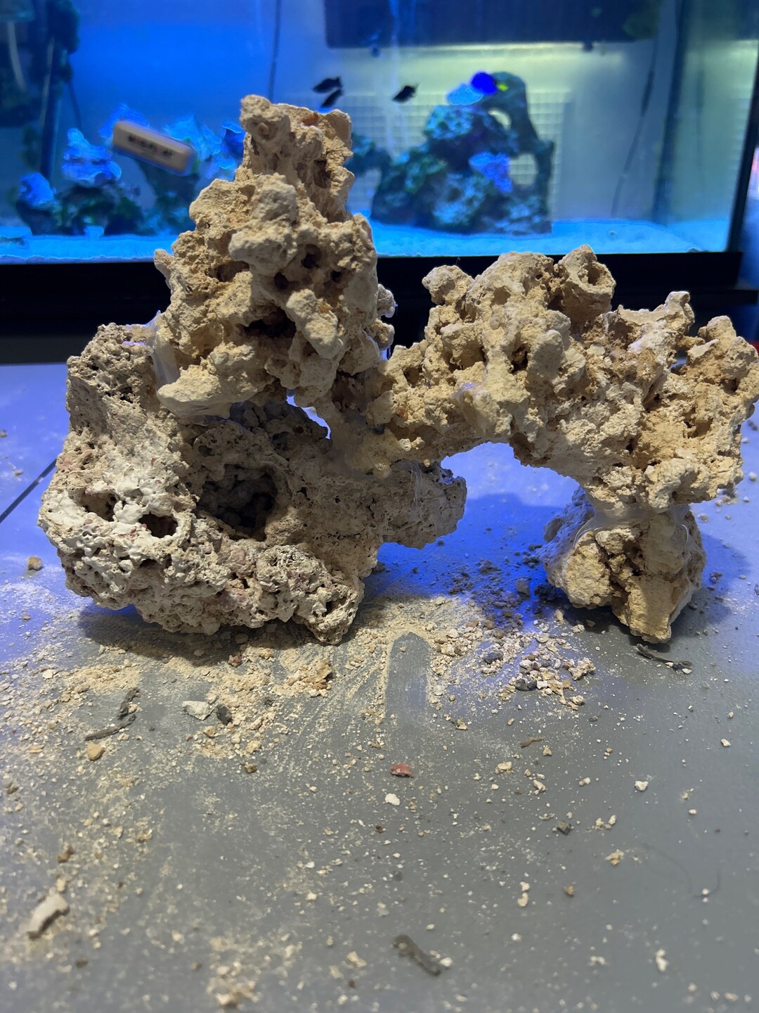 Miniature Underwater Wonderland Live Rock Aquascape for Nano - Etsy