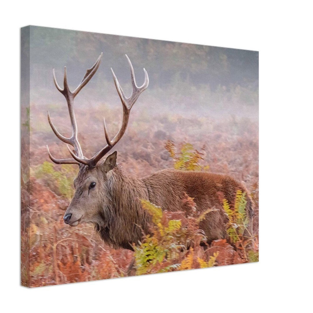 A Red Deer Stag Close up With Magnificent Antlers in Bushey - Etsy