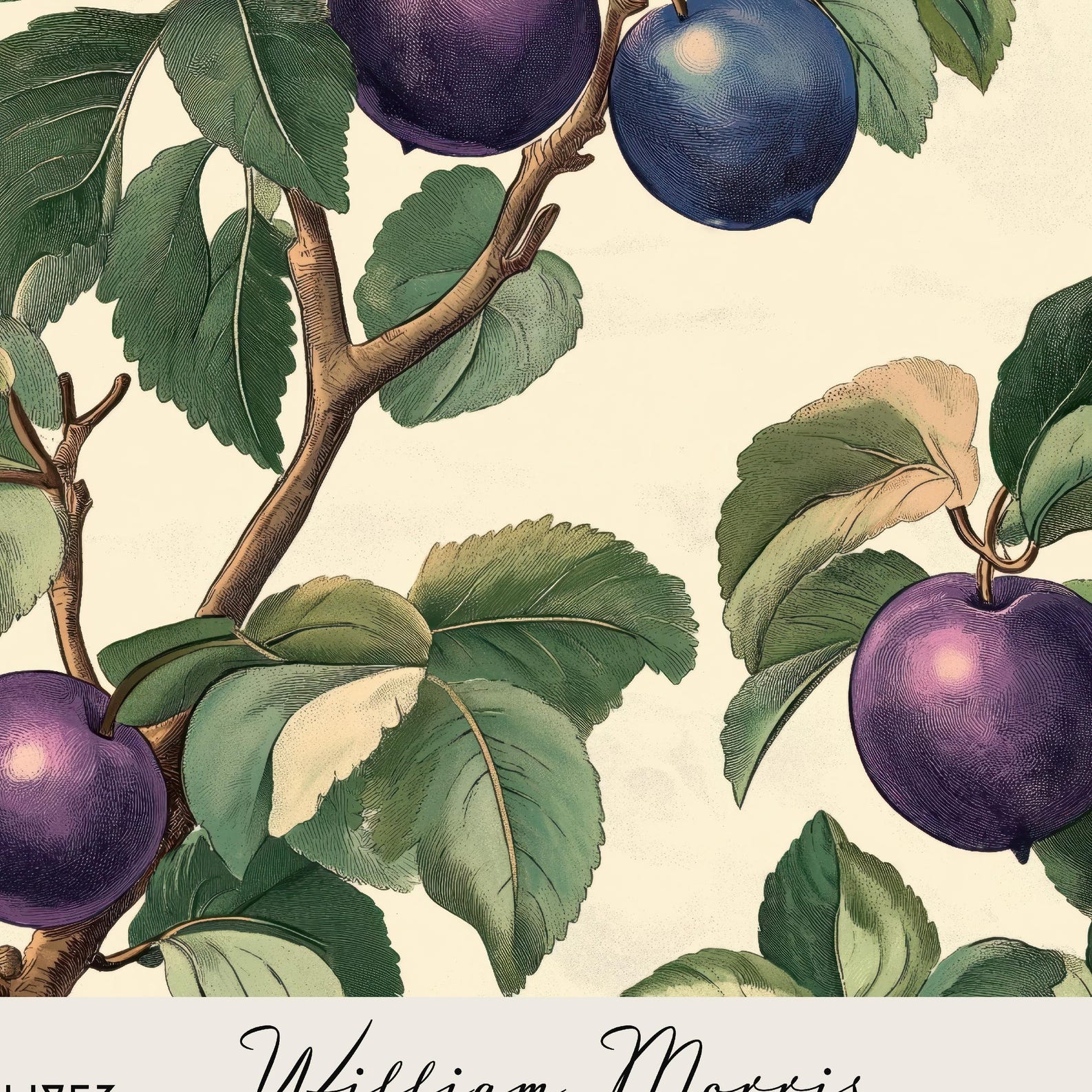 William Morris Plum Botanical Print – Vintage Fruit Wall Decor, Cottage ...