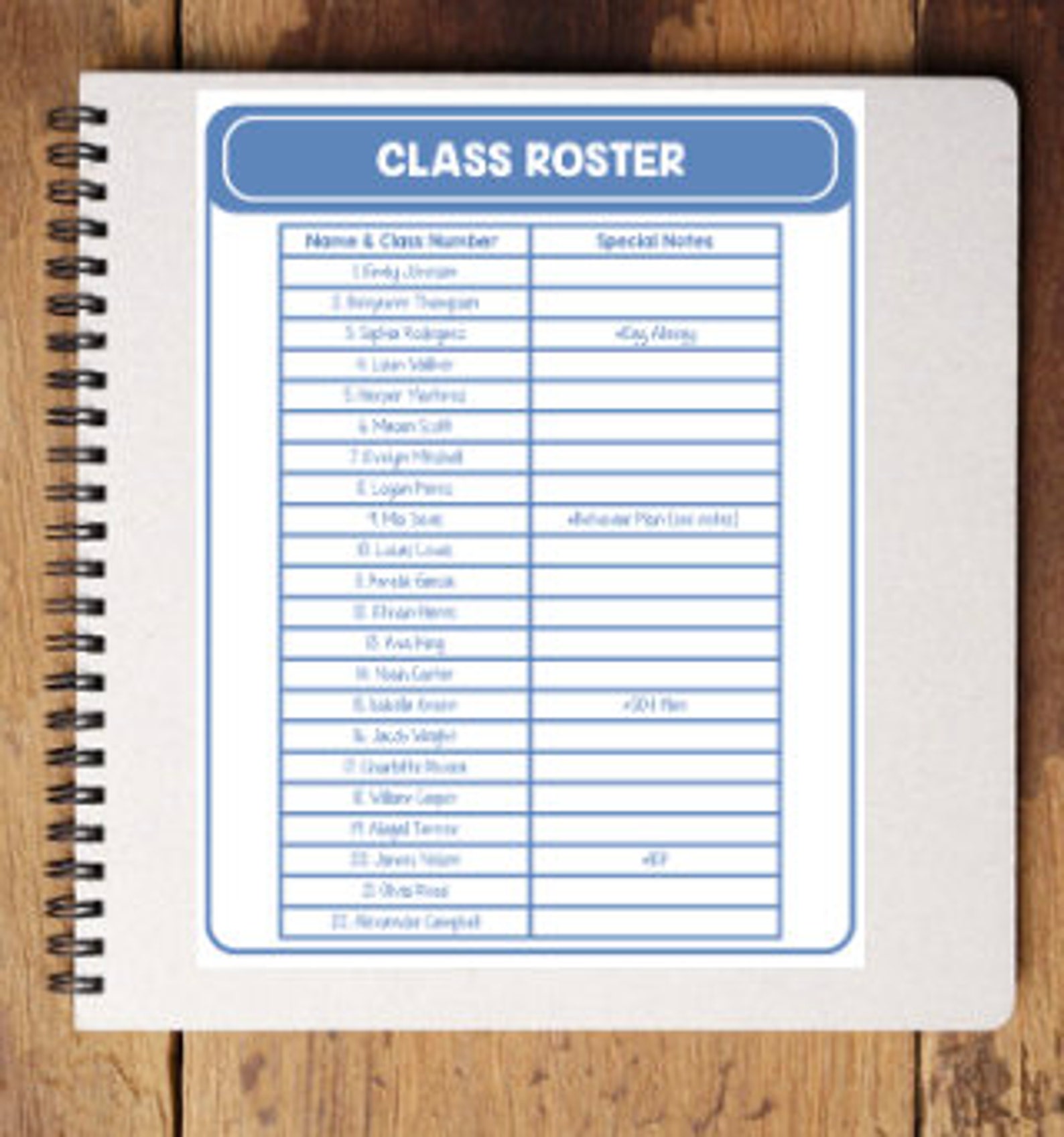 Substitute Teacher Binder Template | Completely Customizable | Cute ...