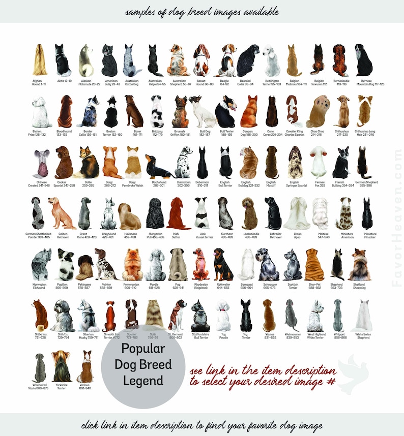 PRINTED Graduation 2026 Custom Portrait Card | Personalized Graduation ...