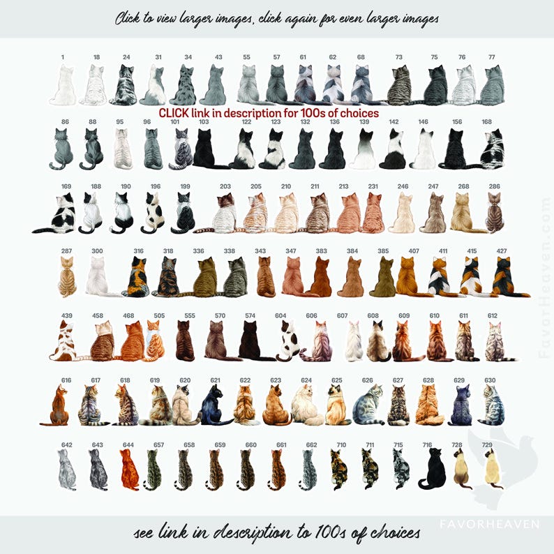 PRINTED Graduation 2026 Custom Portrait Card | Personalized Graduation ...