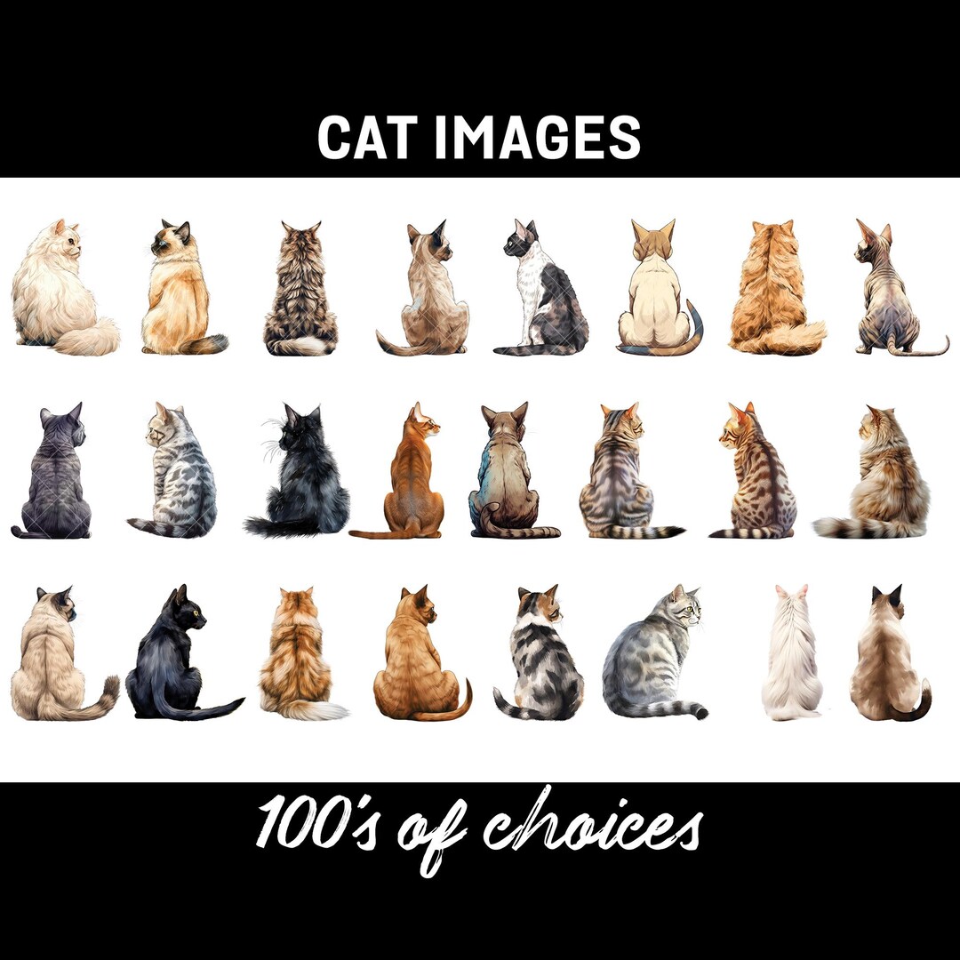 CAT Clipart | Cat Images | Felines | Greeting Cards | Family & Pet ...