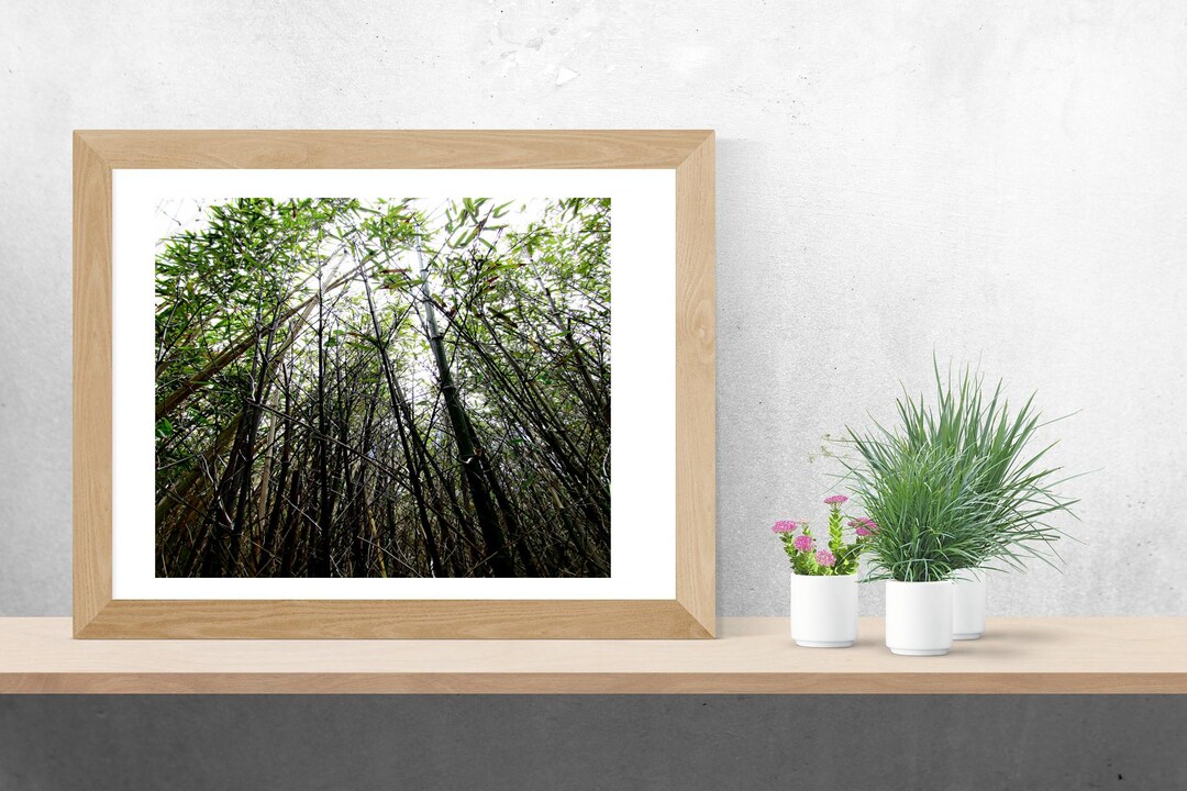 Nature Poster. Wall Art. Forest Poster. Wall Decoration. Modern ...