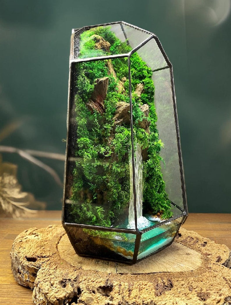 Zen Garden, Terrarium With Waterfall, Geometric Terrarium, Preserved ...