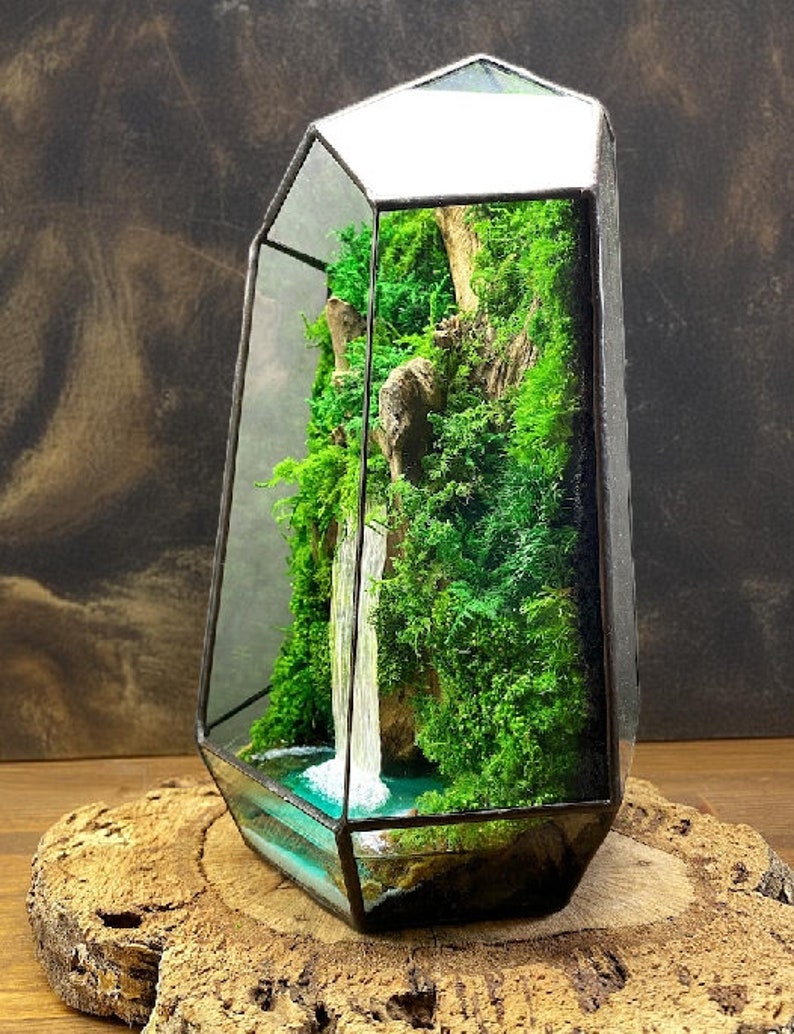 Zen Garden, Terrarium With Waterfall, Geometric Terrarium, Preserved ...