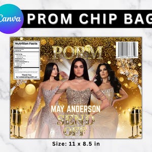 2025 Prom Chip Bag Template, Prom Send off Party Favor, Editable Silver ...