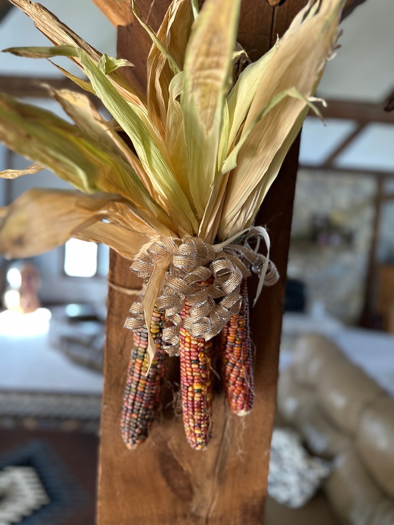 Indian Corn in Husk Fall Decoration 6 Ears - Etsy