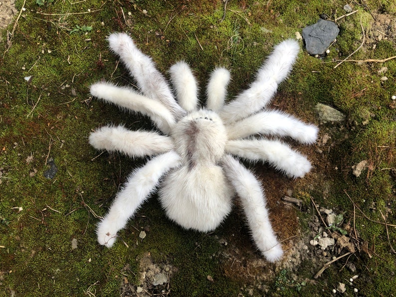 Realistic Fur Spider Plush Stuff Animal Art Doll Giant - Etsy