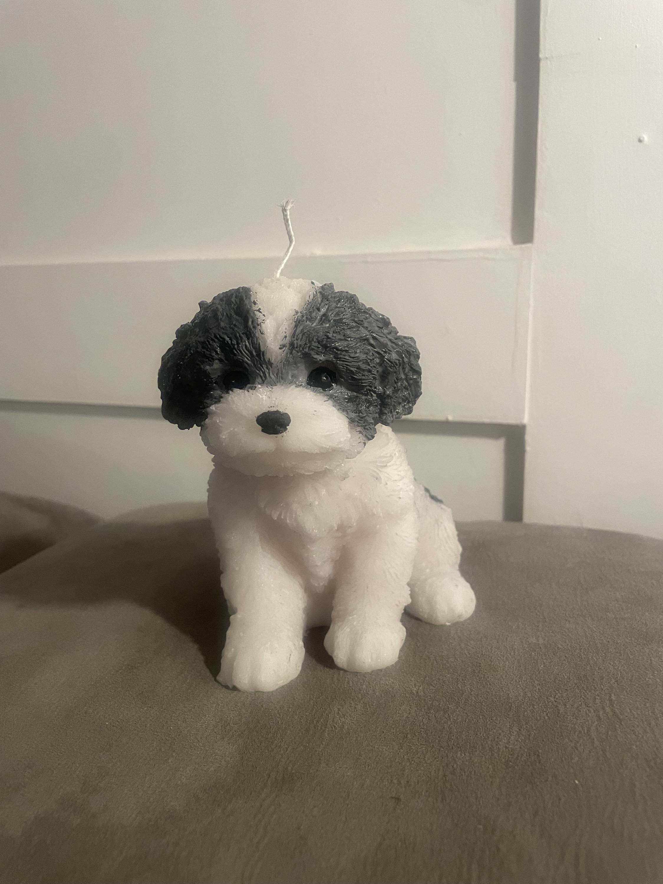 Cavapoo / Cavapoochon / Cockapoo / Maltipoo Candle Large - Etsy