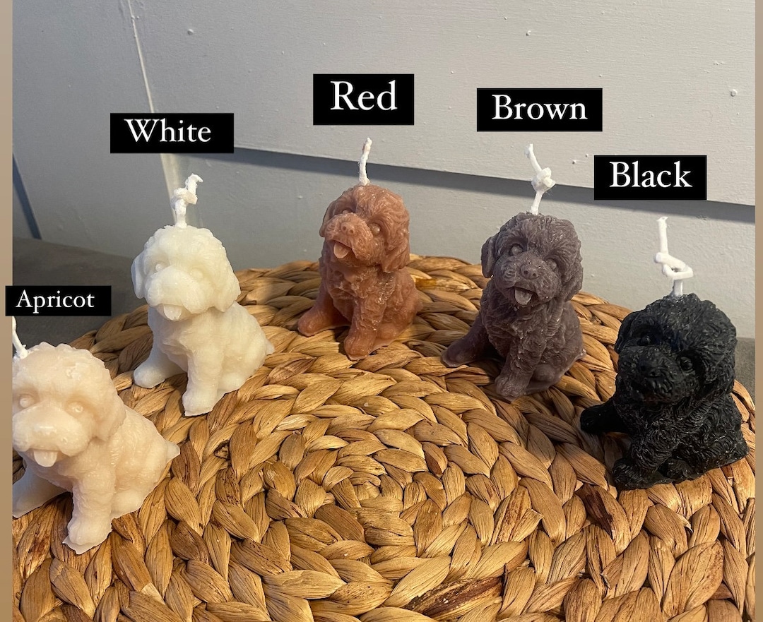 Cockapoo | Cavapoo | Labradoodle Candle - Etsy