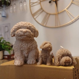 Cavapoo / Cavapoochon / Cockapoo / Maltipoo Candle Large - Etsy
