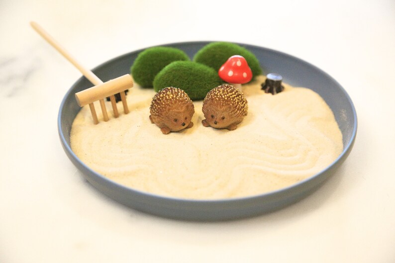 HEDGEHOG Mini Zen Garden Sandbox Fidget Toy Father's Day Therapy Gift ...