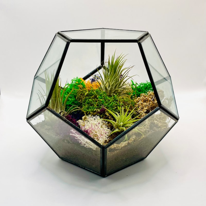 Unique Terrarium - Etsy
