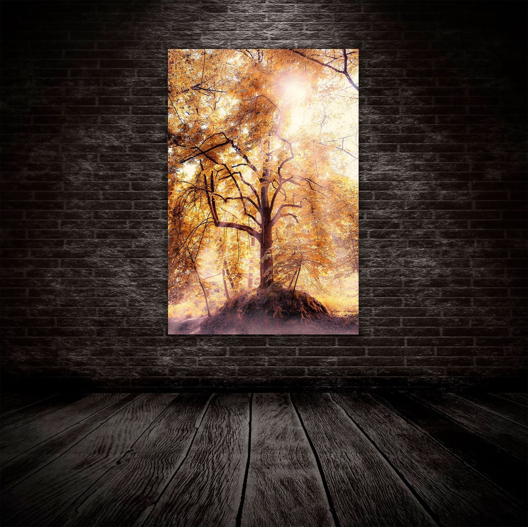 Tree Photography | Magic Forest Photo | Printable Wall Art Fairytale ...