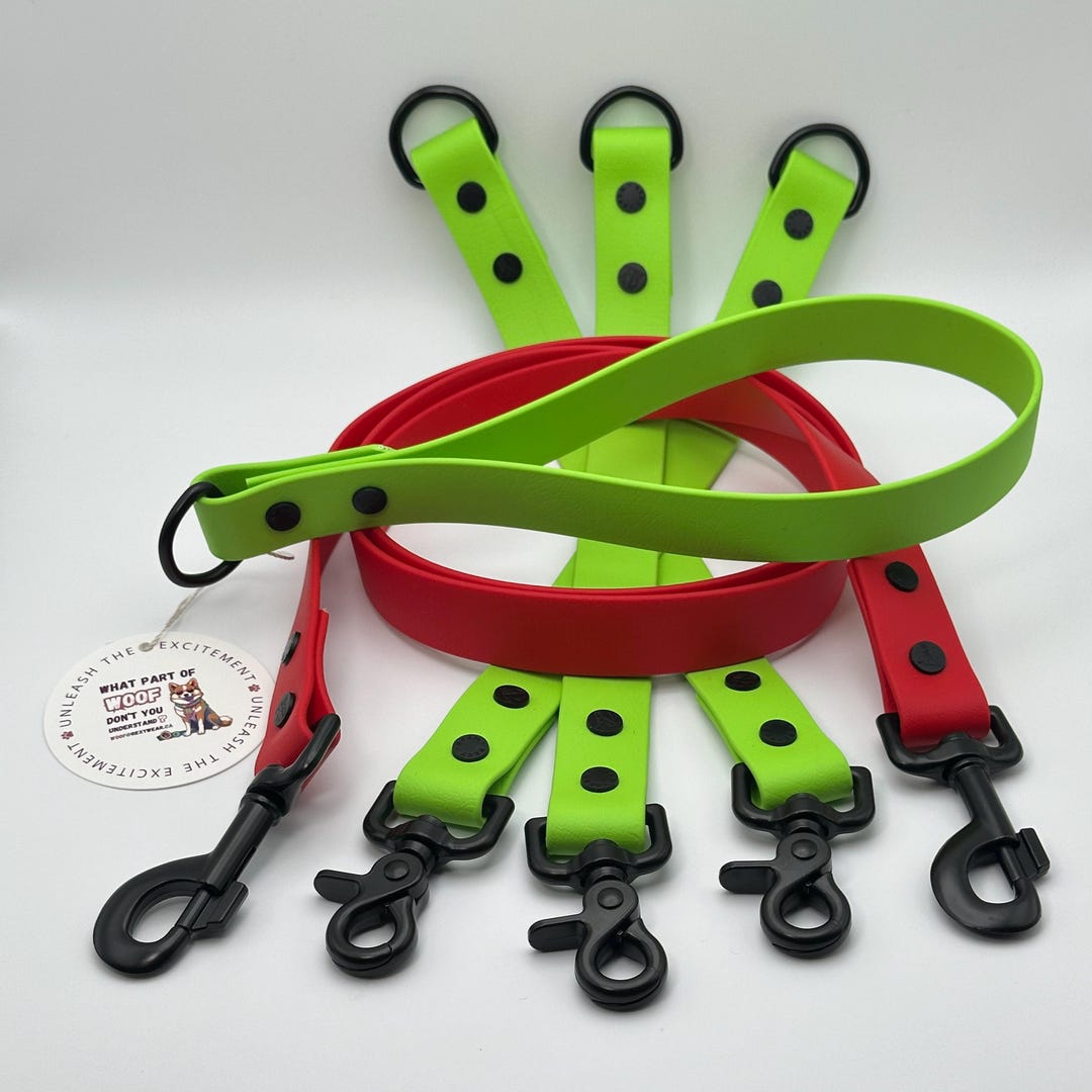 Paw-flex Hands-free Leash Extension (watermelon) - Etsy