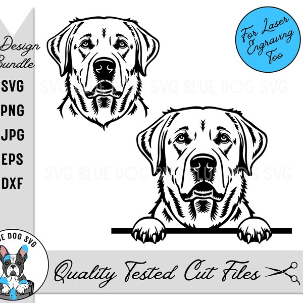 Peeking Lab Svg - Etsy