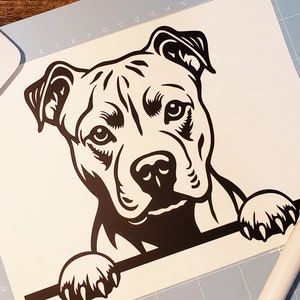 American Pit Bull Terrier Svg, Eps, Dxf, Png, and Jpg Digital Download ...