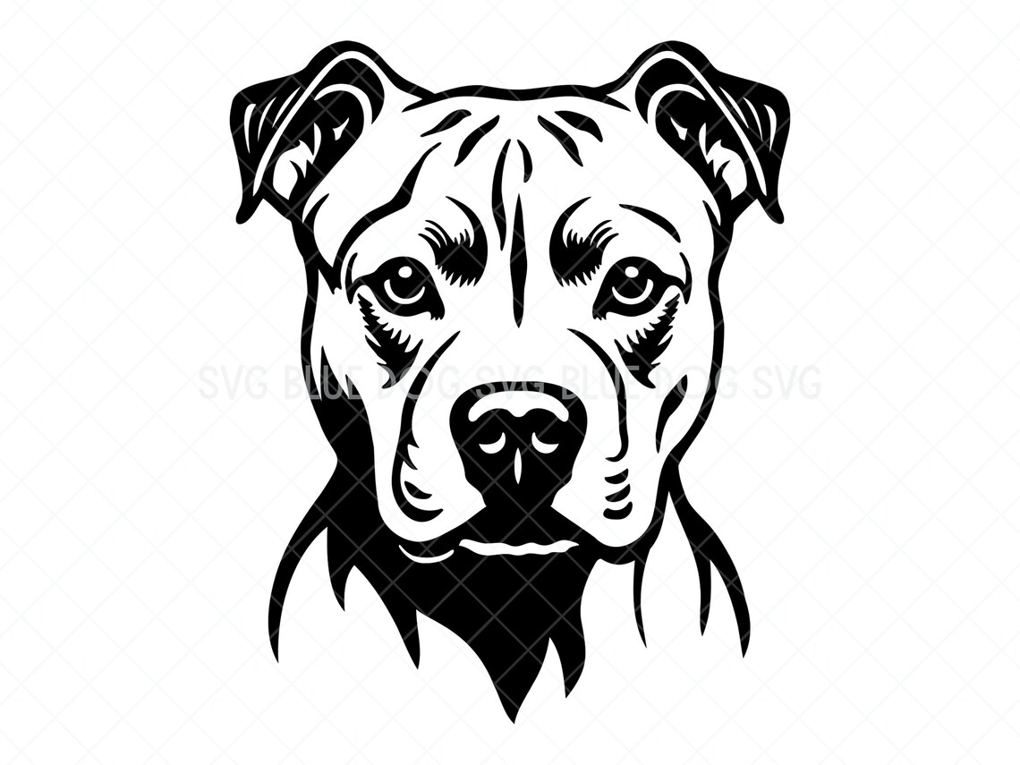 American Pit Bull Terrier Svg, Eps, Dxf, Png, and Jpg Digital Download ...
