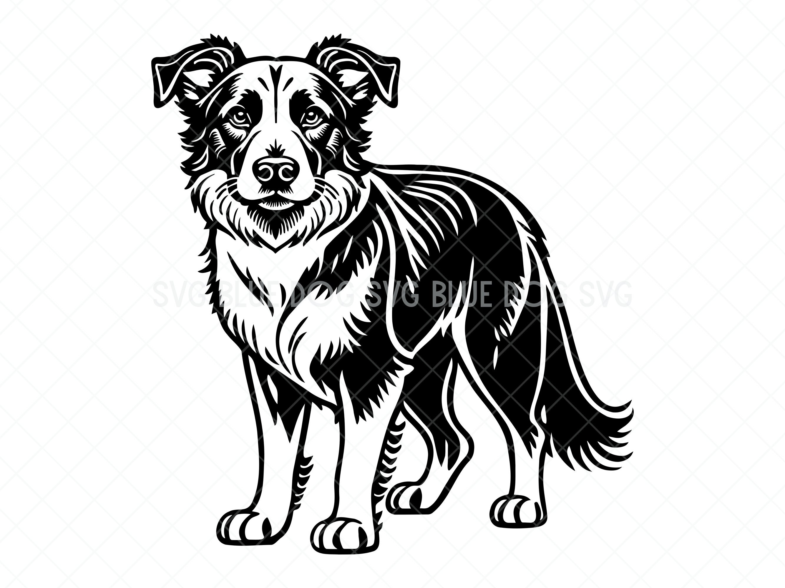 Border Collie Svg, Eps, Dxf, Png, and Jpg Bundle: Cricut Ready (digital ...