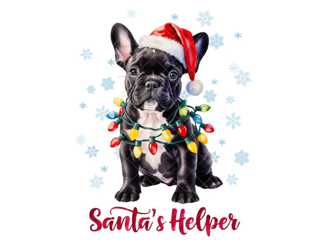 Christmas French Bulldog Png, Frenchie Santa Hat Png, Black French ...
