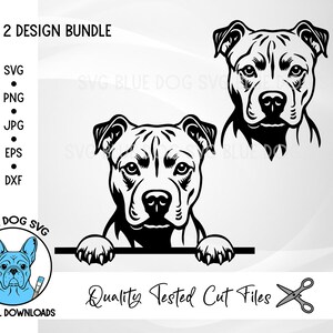 American Pit Bull Terrier Svg, Eps, Dxf, Png, and Jpg Digital Download ...