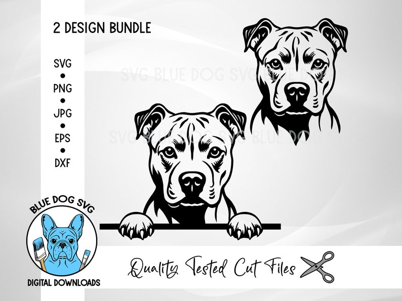 American Pit Bull Terrier Svg, Eps, Dxf, Png, and Jpg Digital Download ...