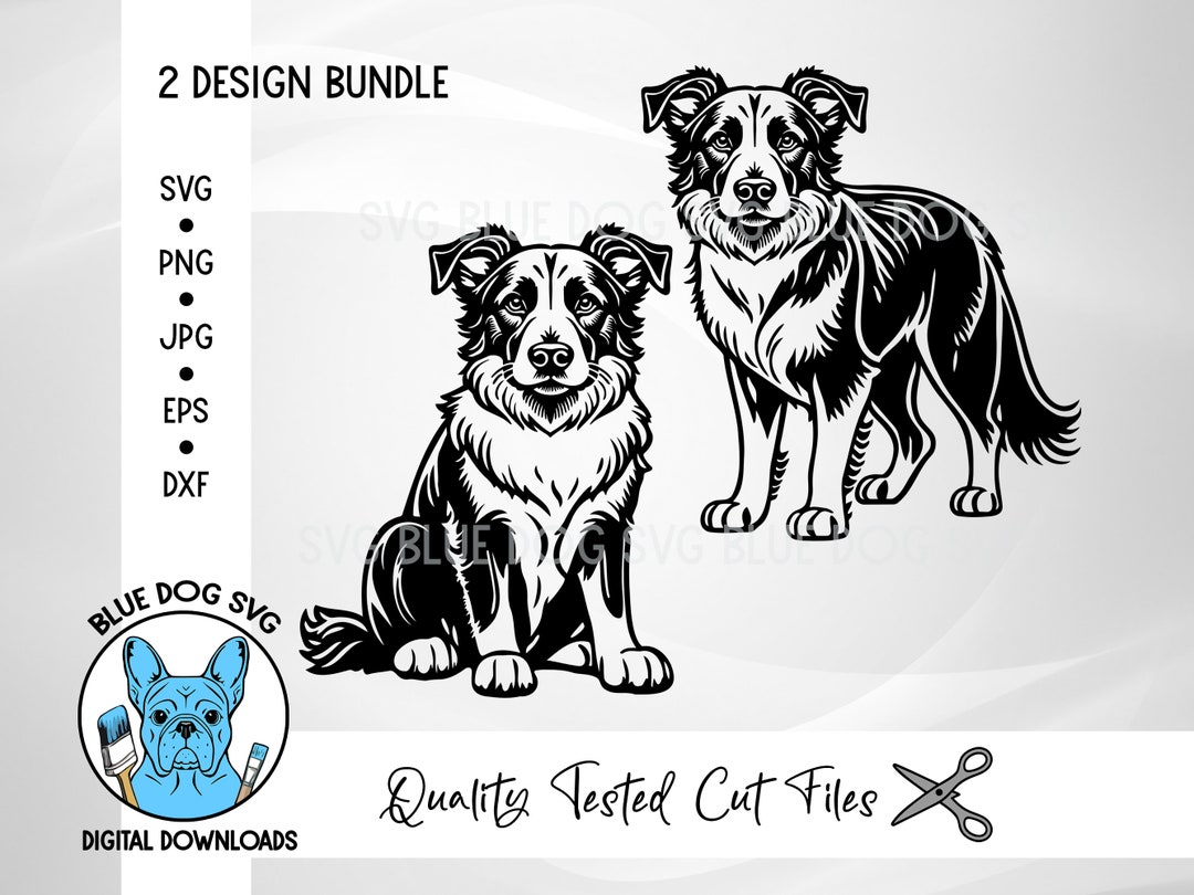 Border Collie Svg, Eps, Dxf, Png, and Jpg Digital Download, Two Design ...