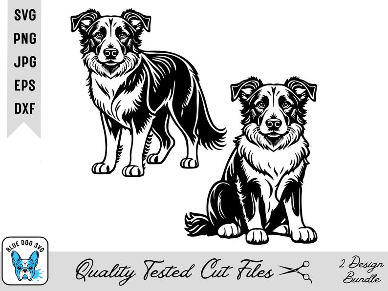 Border Collie Svg, Eps, Dxf, Png, and Jpg Bundle: Cricut Ready (digital ...