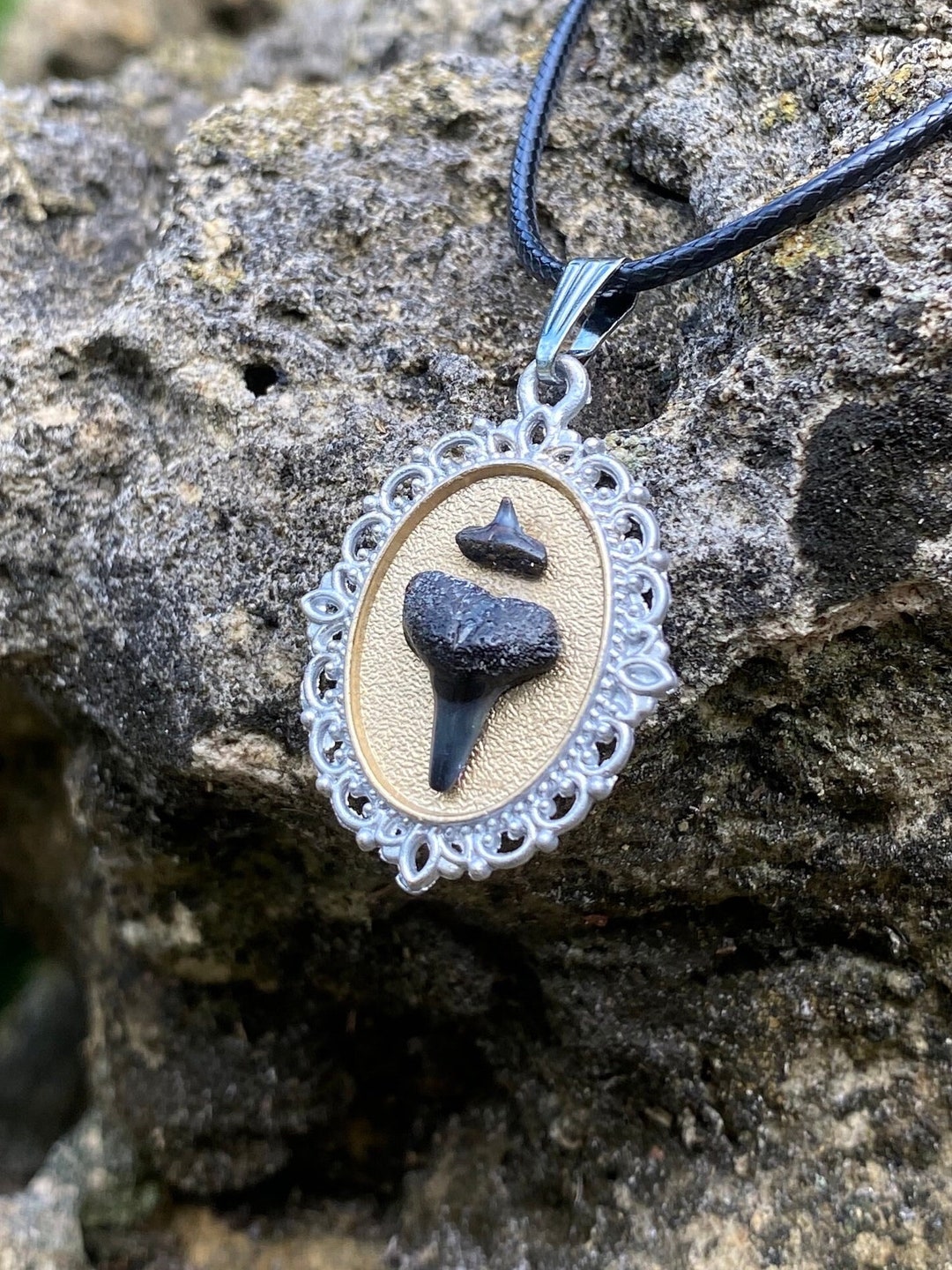 Small Shark Teeth Pendant Necklace - Etsy