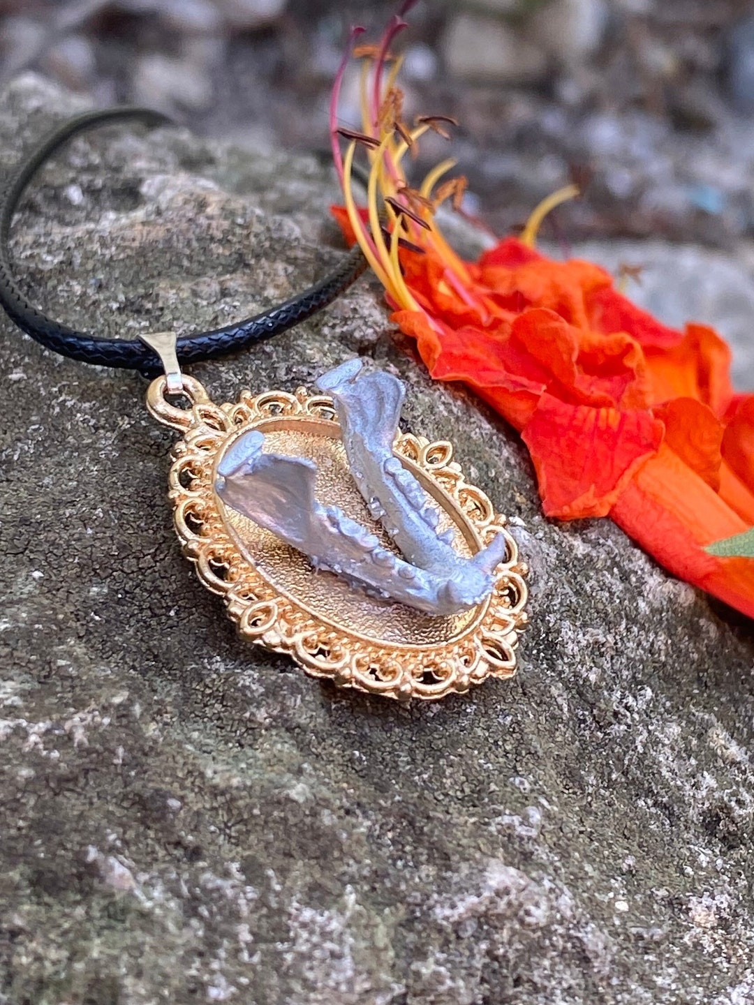 V Shaped Badger Lower Jaw Necklace Pendant - Etsy