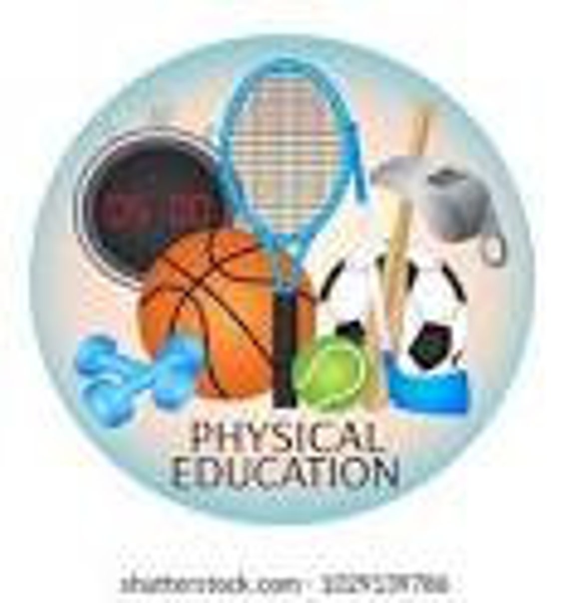 Four Square/ Gaga Ball Lesson Plan - Etsy