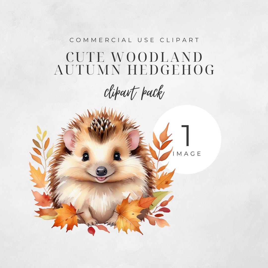 Watercolor Hedgehog Clipart, Autumn Hedgehogs PNG, Watercolour Fall ...