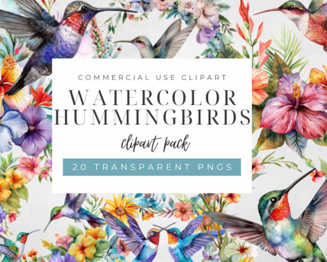 Watercolor Hummingbird Clipart, Colorful Bird PNG, Floral Hummingbird ...