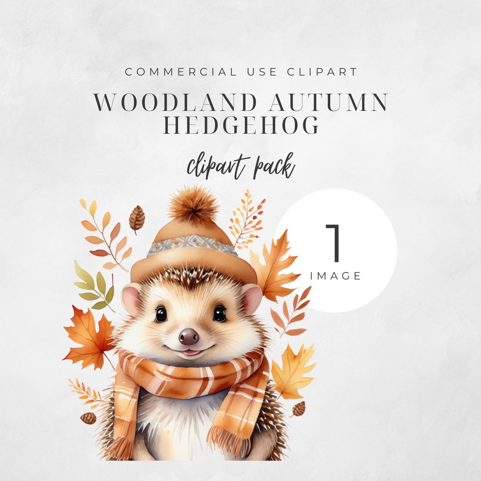 Watercolor Hedgehog Clipart, Autumn Hedgehogs PNG, Watercolour Fall ...