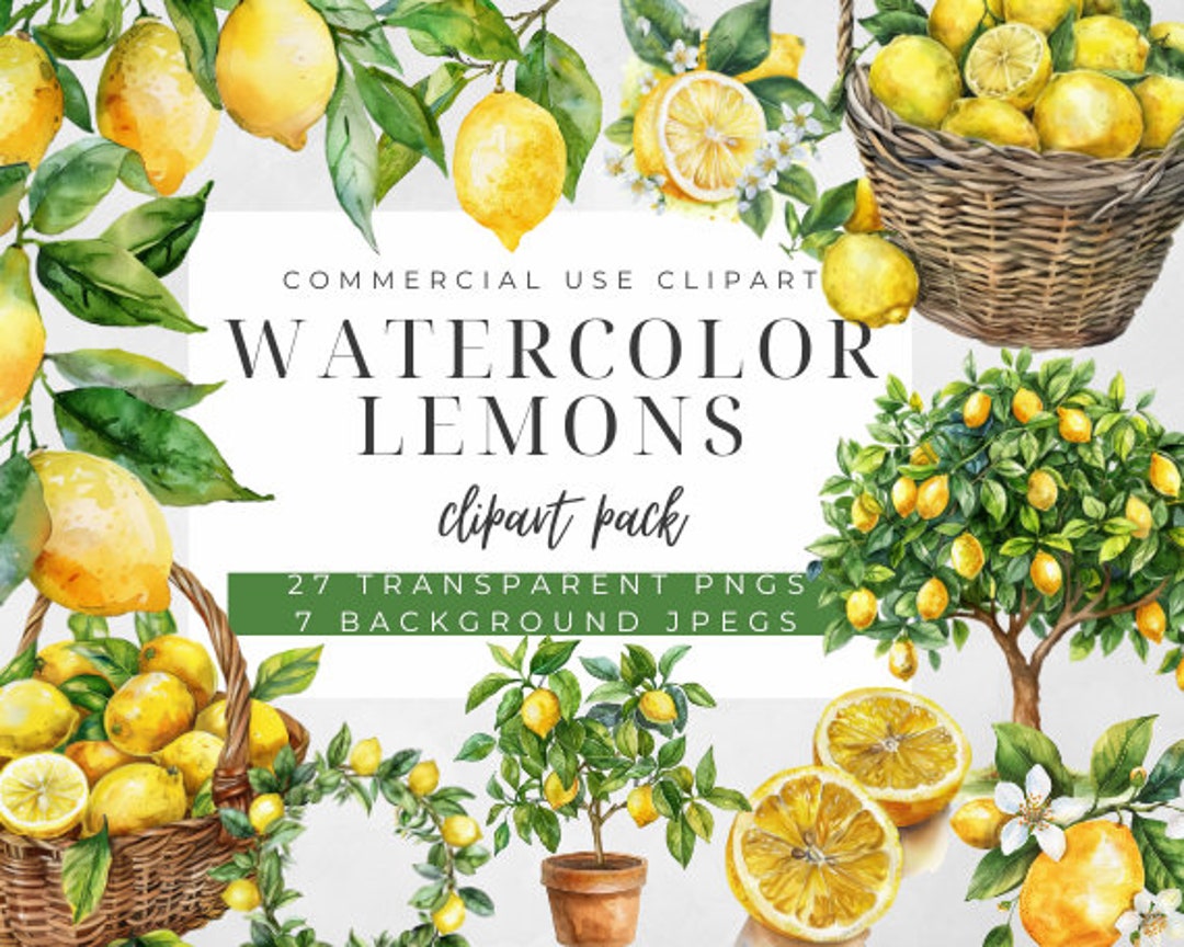 Watercolor Lemon Clipart, Fruit Clipart, Lemon PNG, Watercolour Lemon ...