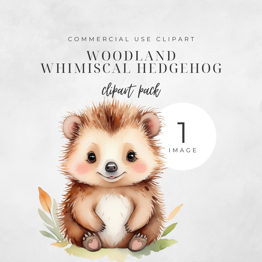 Watercolor Woodland Hedgehog Clipart, Watercolour Forest Animal Clip ...